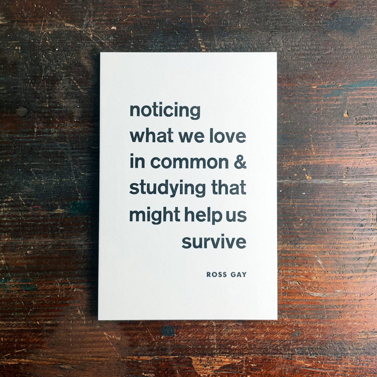 "Noticing" by Ross Gay | Expedition Press