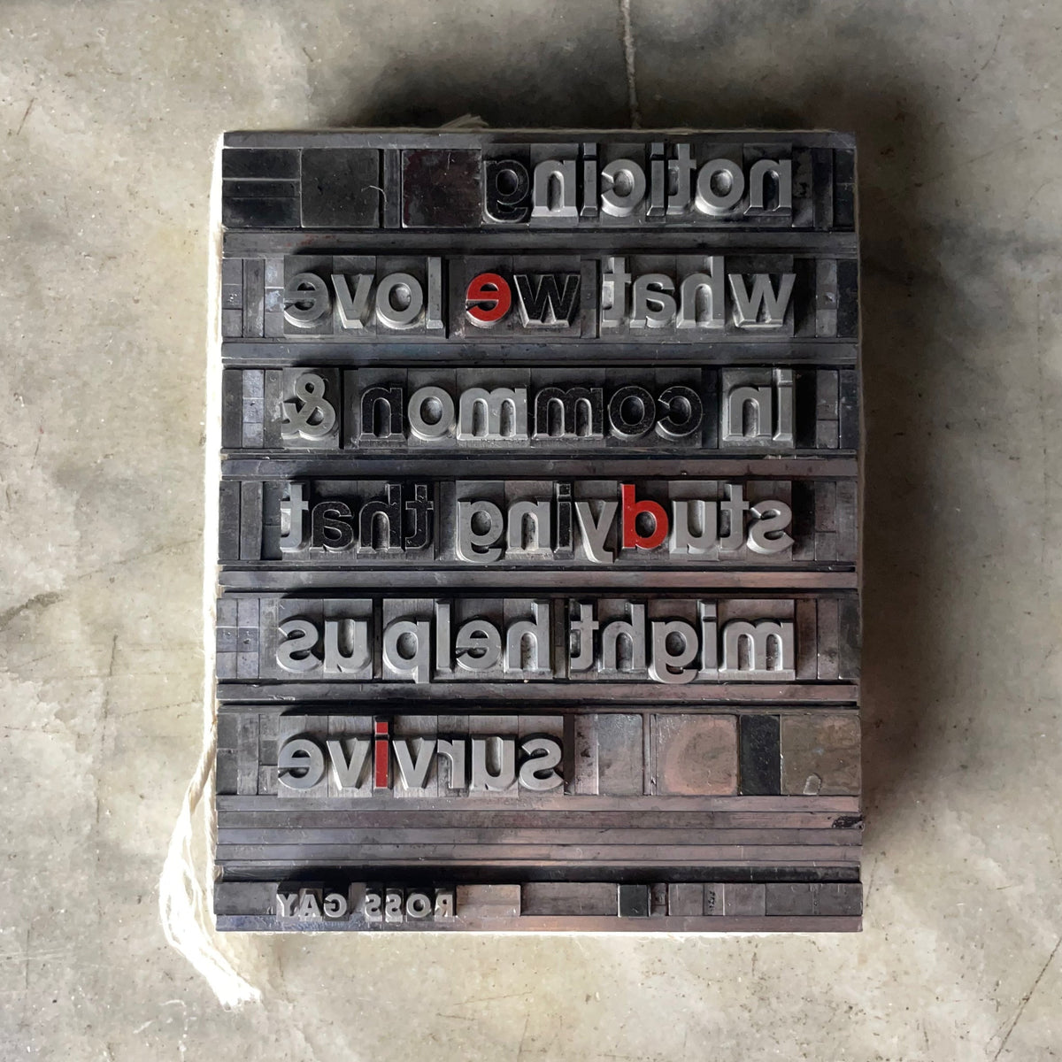 Ross Gay letterpress notecard "Noticing" | Expedition Press